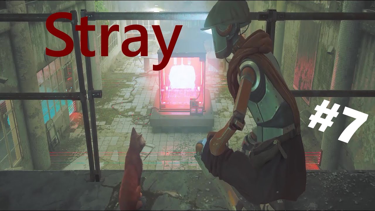Нашел Клементину! Stray#7 - YouTube