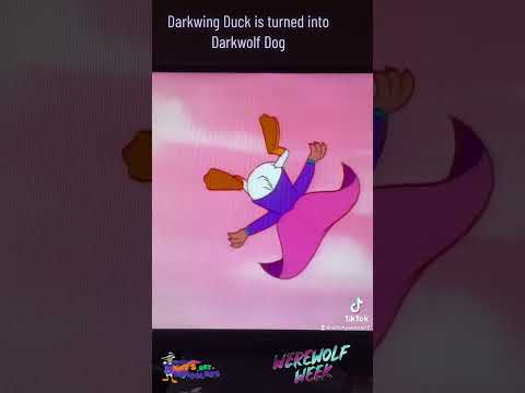 Darkwing Duck is now Darkwolf Dog