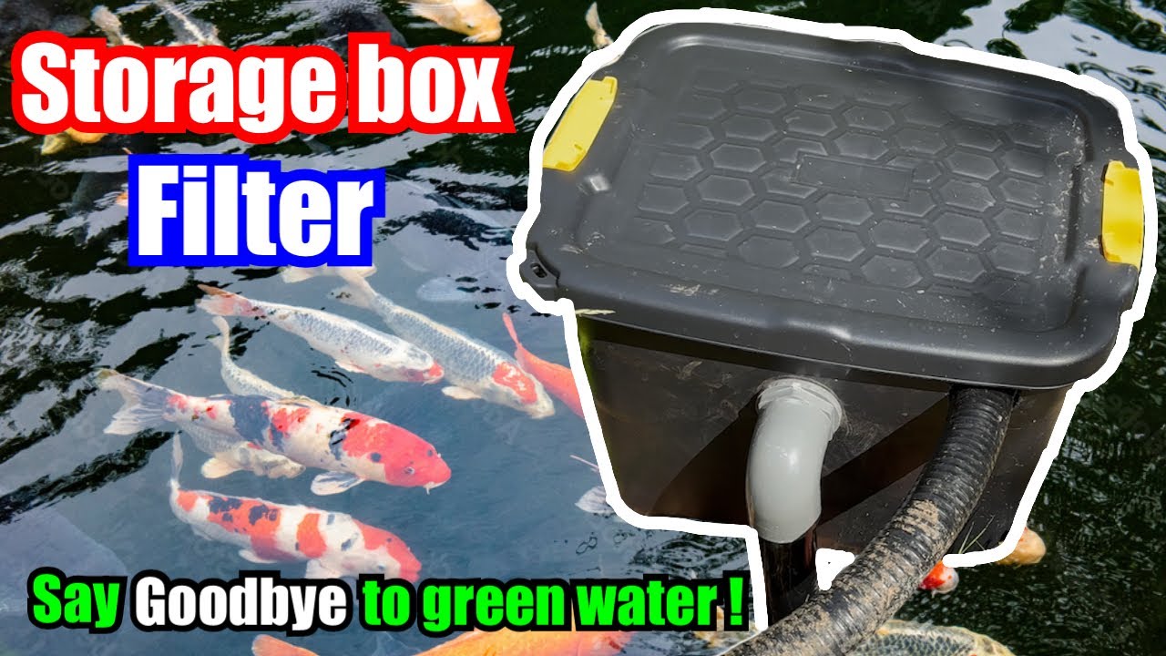 How to make a Pond Filter Using a Storage box ! No Green Algae - CLEAR ...