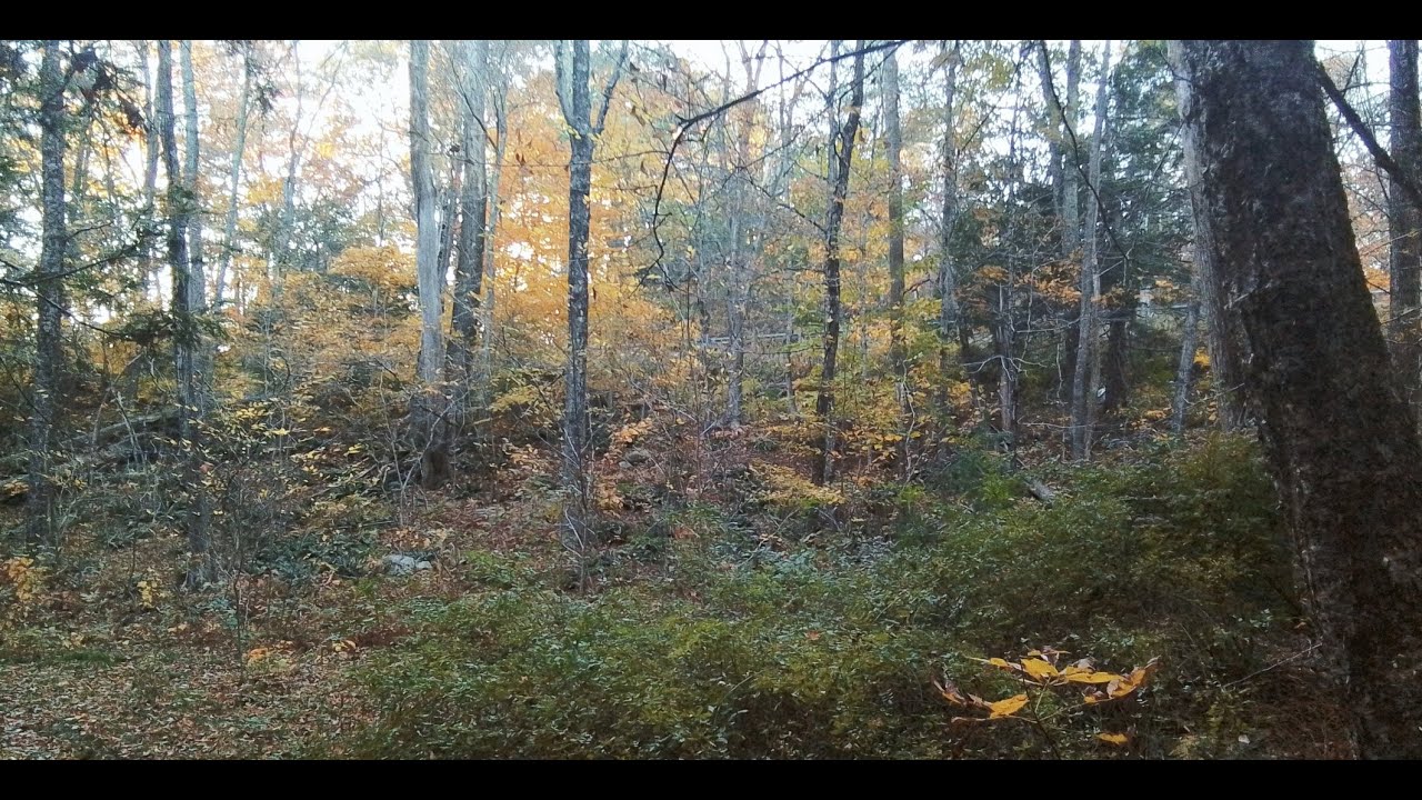 Podcast about the Jabish Brook Conservation Area of Belchertown ...