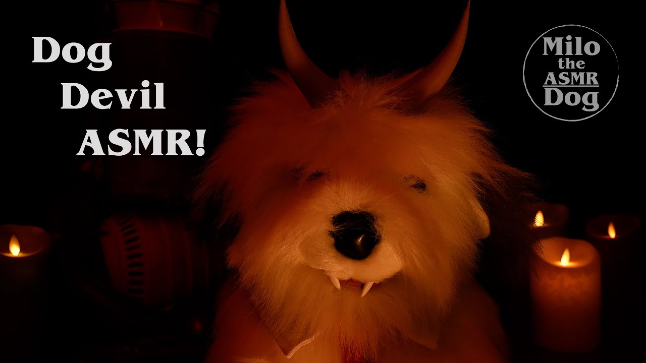 👻🎃ASMR Roleplay - Doggy Devil Welcomes You to Hell! Halloween Special ...