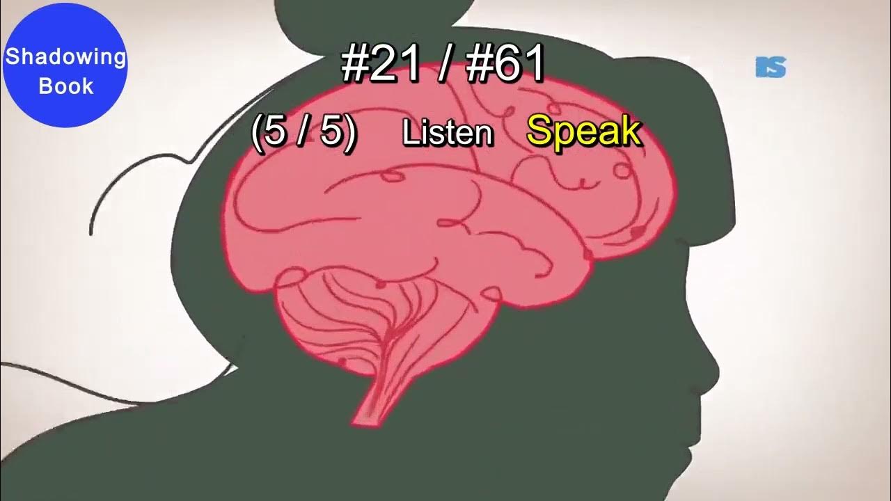 [ShadowingBook] What’s the smartest age? | TED-Ed - YouTube