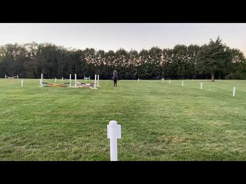 Astrid and Magic, Prix Caprilli Training Level Test, Sept 30 - YouTube