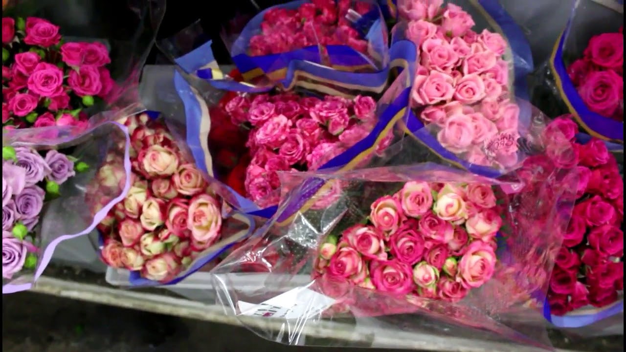 Rose Section in Flora Fresh Inc. - YouTube