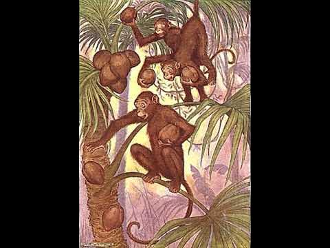 The Swiss Family Robinson Chapter 10 - YouTube