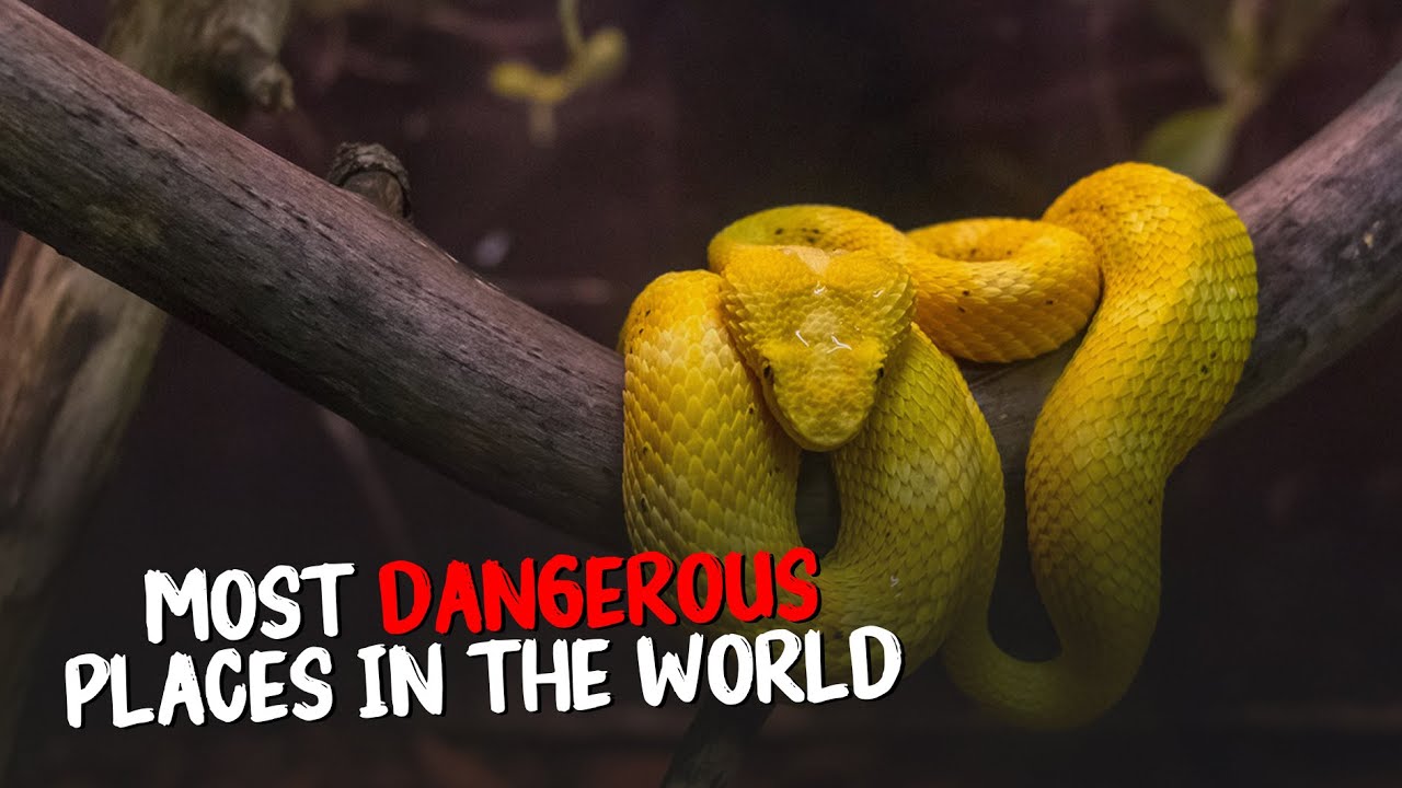 10 Most Dangerous Places In The World - YouTube