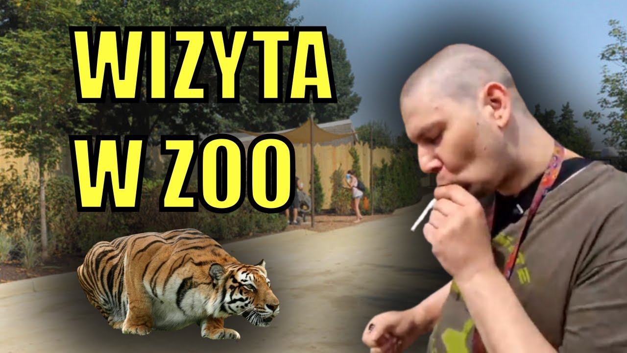 Dawid Jasper | Wizyta w ZOO, ganianie pawiów, zdjecia z widzami - YouTube