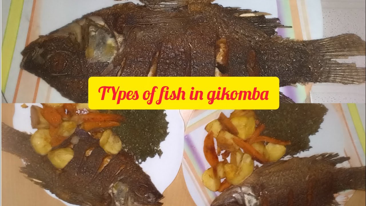 Gikomba haul//Fish market. Types of fish, prices and direction. - YouTube