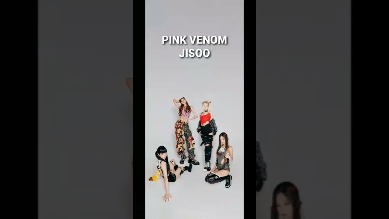 WHO OWNED EACH ERA IN [BORN PINK] ERA? - YouTube