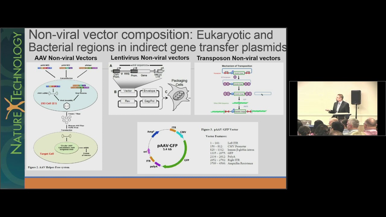 Non-Viral Vector Design and Production - YouTube