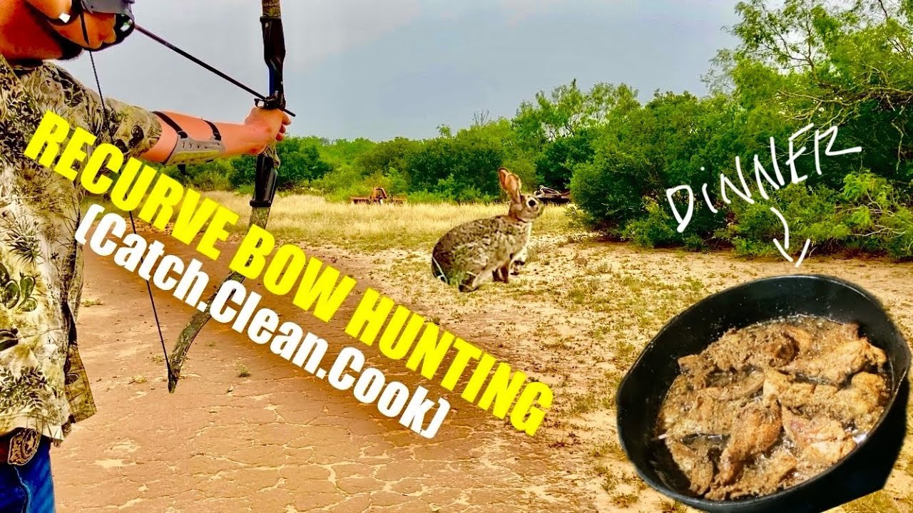 Hunting Cottontail Rabbits with a MODIFIED PSE Kingfisher 56 Recurve ...