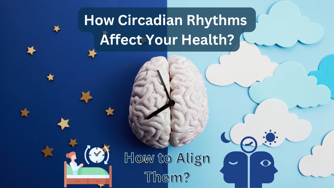 How Circadian Rhythms Affect Your Health and How to Align Them? - YouTube
