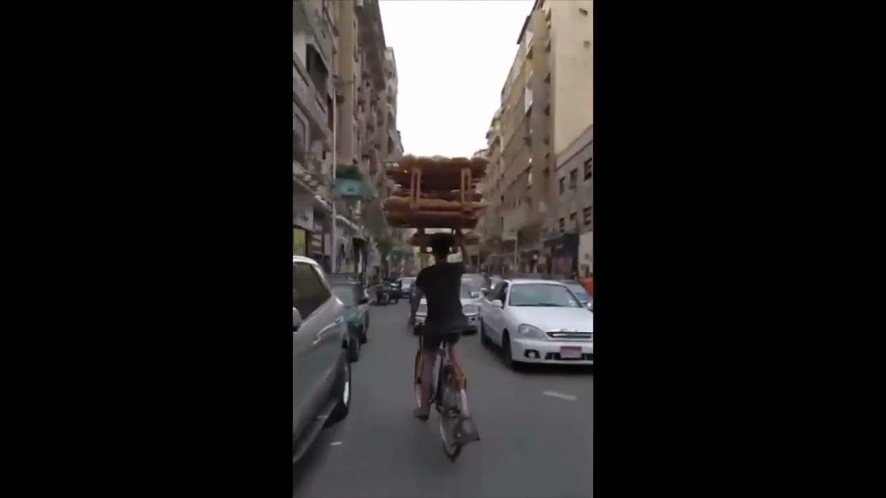 自然界中的奇妙事物 15 - 超级送货员 Amazing thing in nature 15 - super delivery man - YouTube