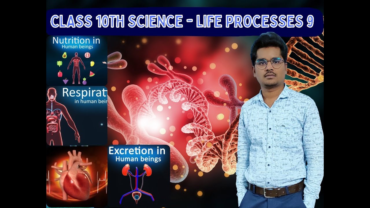 CLASS 10TH SCIENCE - LIFE PROCESSES 9 - YouTube