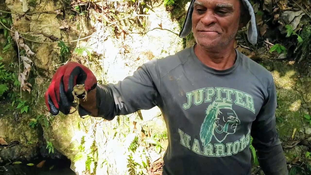 MIRA AL PEQUEÑO MACO TORO QUE HALLAMOS (LOOK AT THE LITTLE MACO BULL WE ...