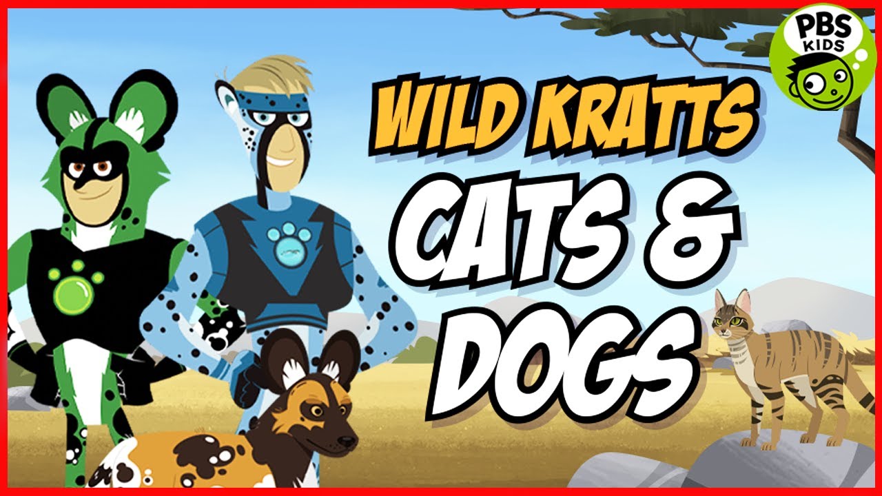 Wild kratts - Cats and dogs - PBS KIDS | iPad Gameplay - YouTube