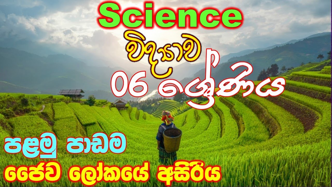 ජෛව ලෝකයේ අසිරිය 6 වසර 1 පාඩම Grade 6 Science Lesson 1 Sinhala