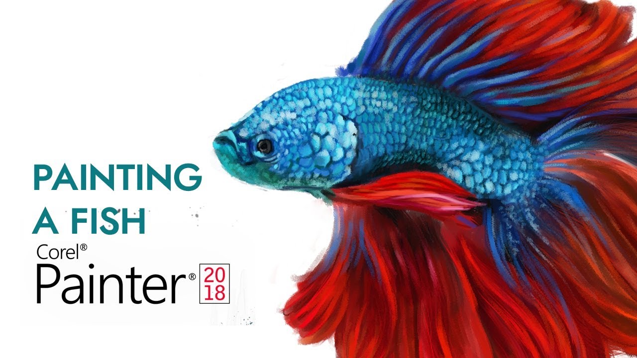 PAINTING COLOURED FISH (speed art) IN COREL PAINTER 2018 - YouTube