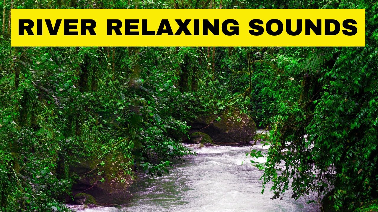 𝗥𝗘𝗟𝗔𝗫𝗜𝗡𝗚 river sounds | Sound of Water | Relaxation | 𝗠𝗶𝗻𝗱𝗳𝘂𝗹𝗻𝗲𝘀𝘀 ...