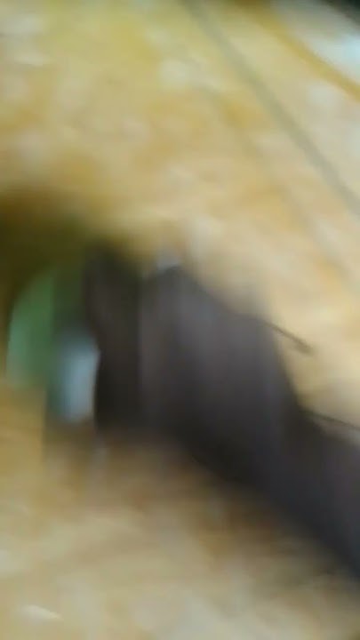 October 13, 2023 - YouTube