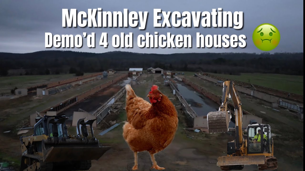 Very tricky 14 day chicken house demo | Can we finish in time?? - YouTube