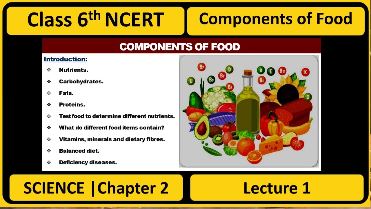 COMPONENTS OF FOOD | Class 6th Science Chapter 2 - Lecture 1 | NCERT ...