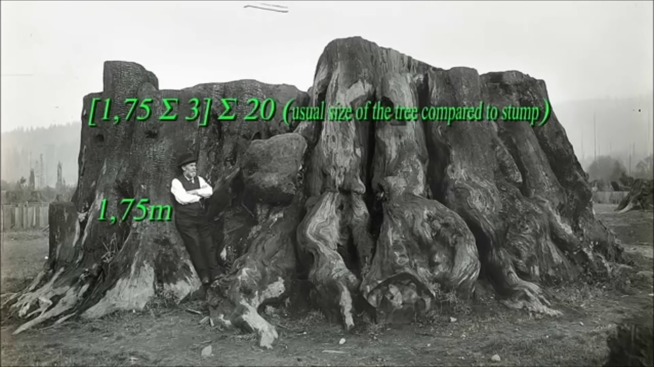 *Traces of *REAL *Giants - YouTube