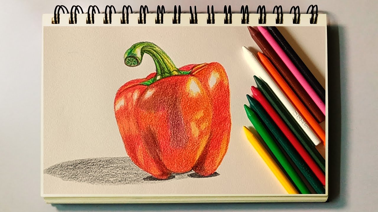Drawing a Red Bell Pepper - Time Lapse Video | How to Draw a Capsicum ...