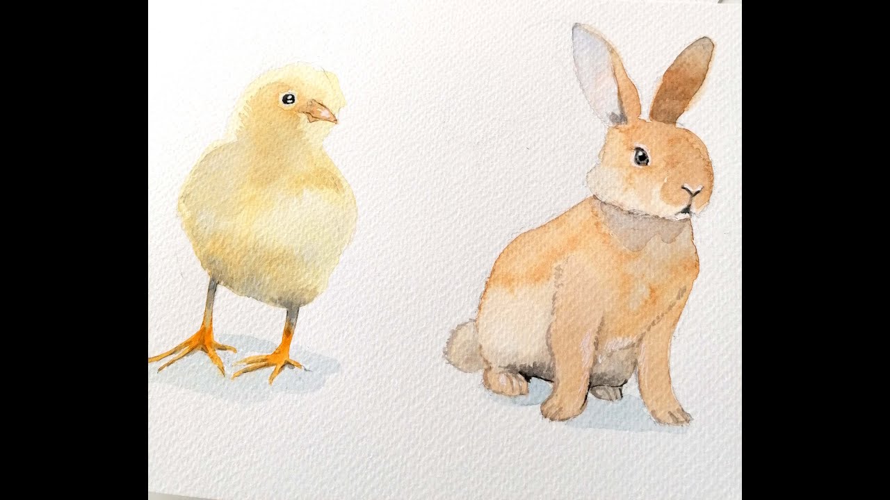 Live pintainhos e coelhos realistas - YouTube