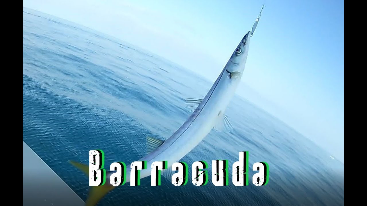 Chubasco 2 fishing trip - YouTube