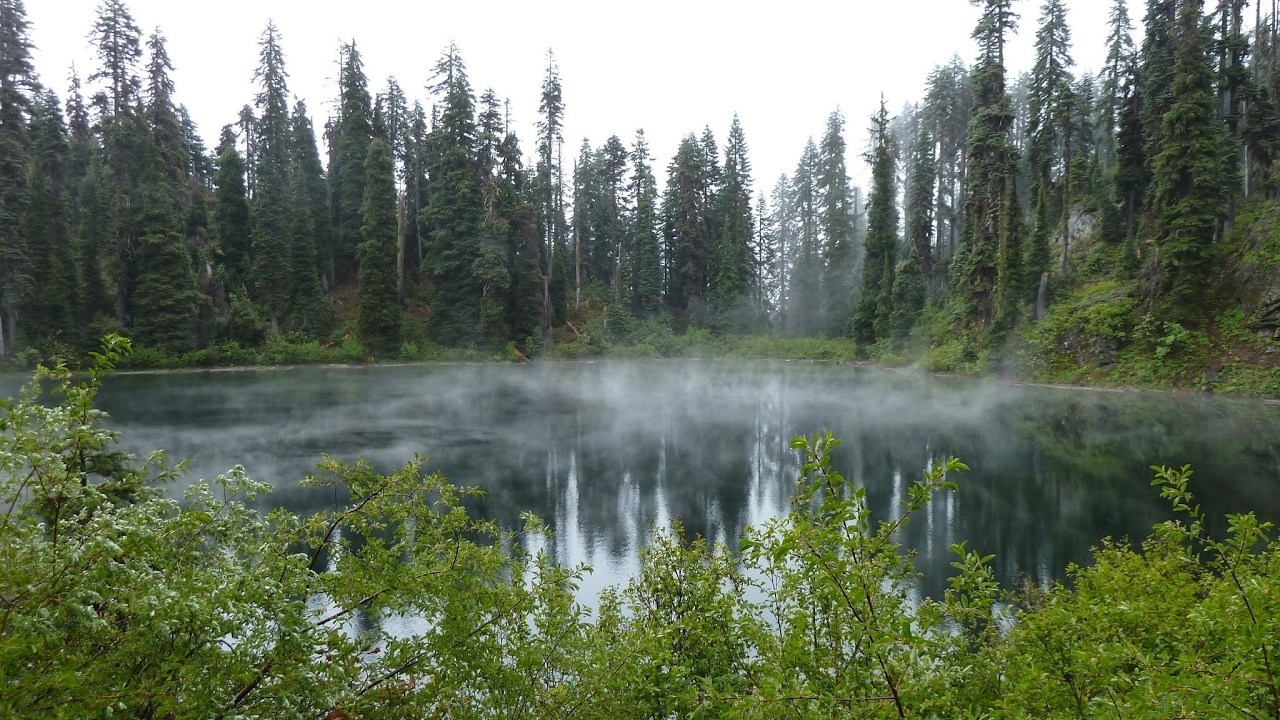 Toxify_lilman Live Stream - YouTube