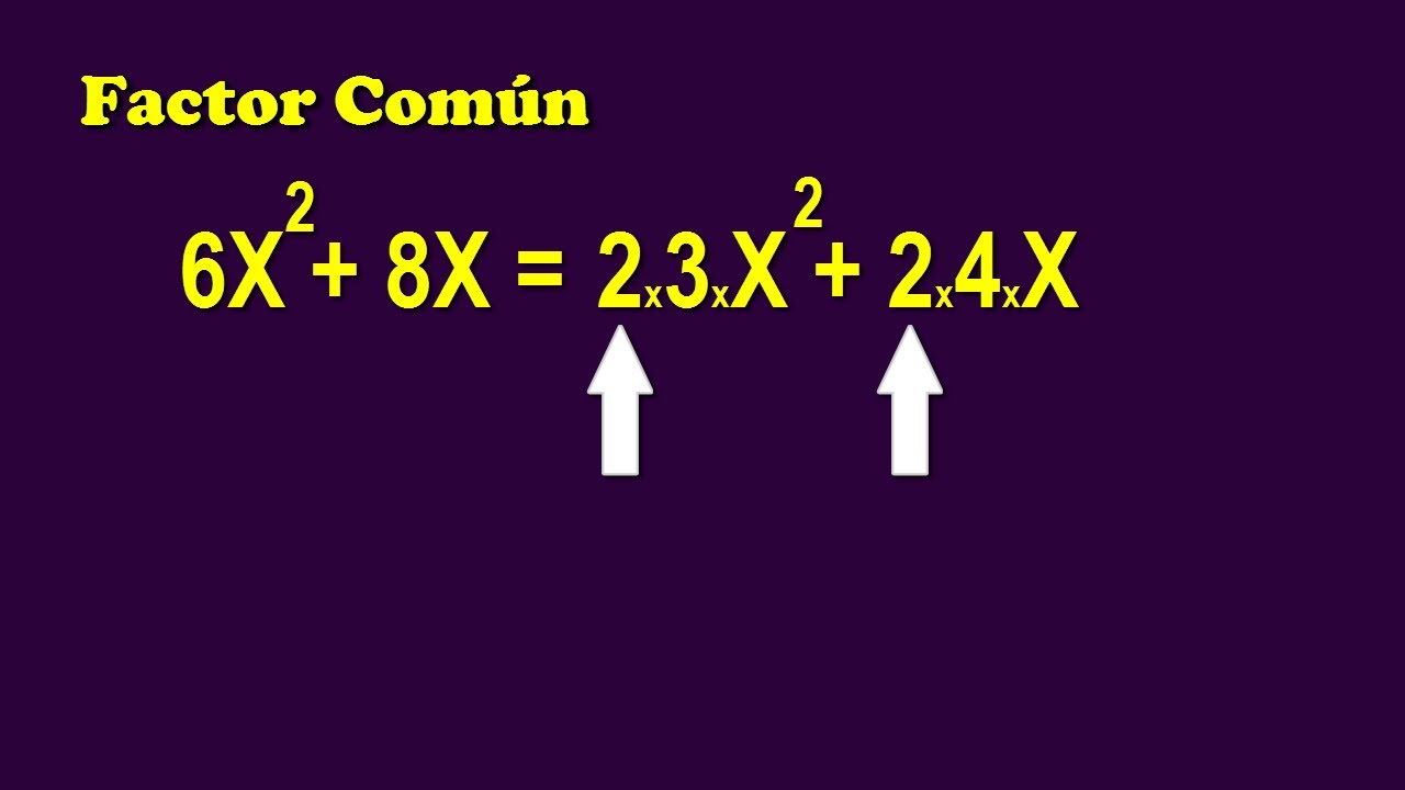 Factorización usando Factor Común - YouTube