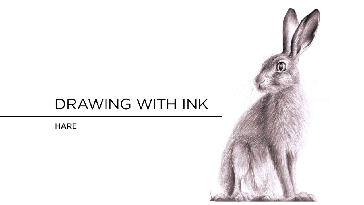 HARE - Drawing with Ink - YouTube