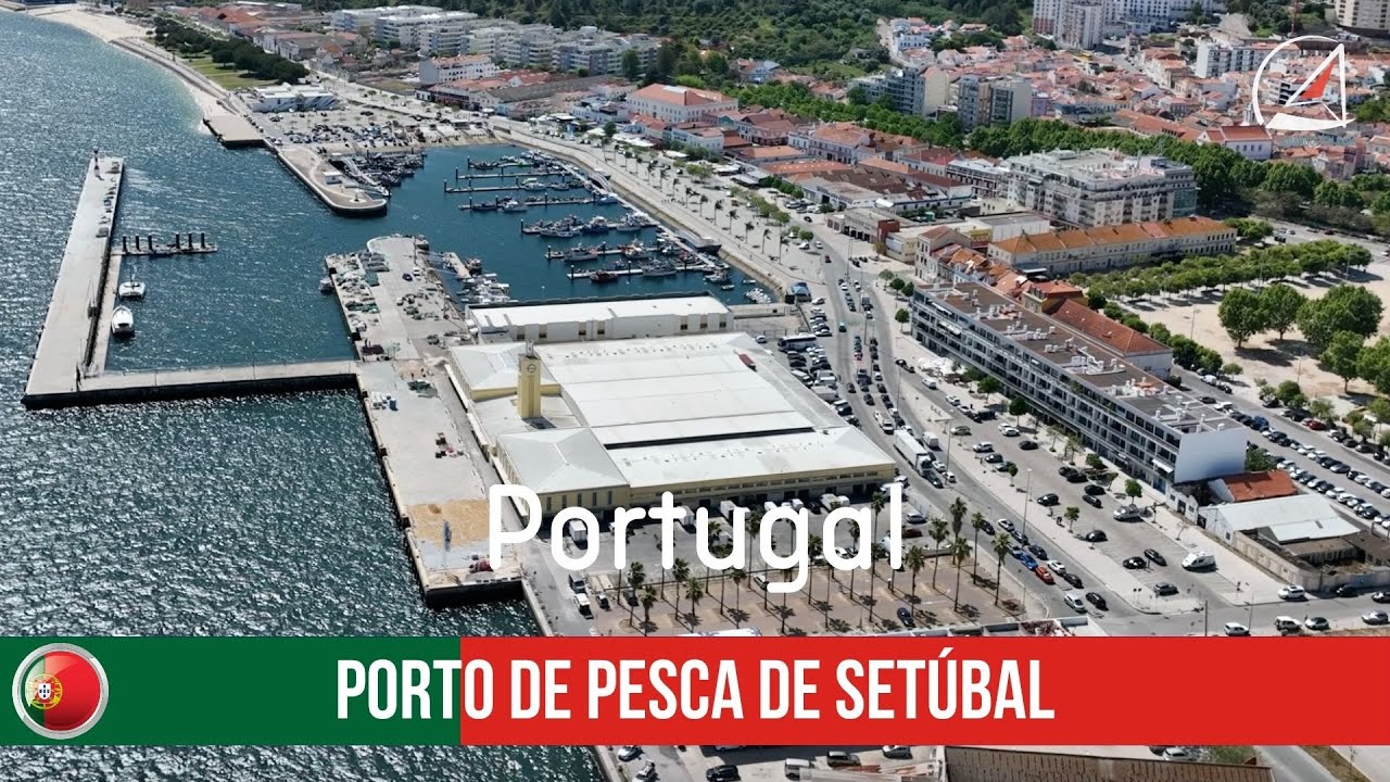 Porto de Pesca, Setúbal, Portugal - YouTube