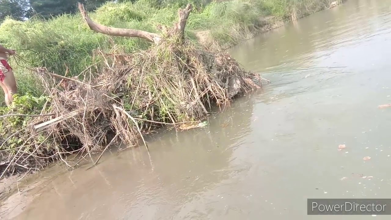 Primitive life :Electric Fishing in Northeast India!! Electric shock ...