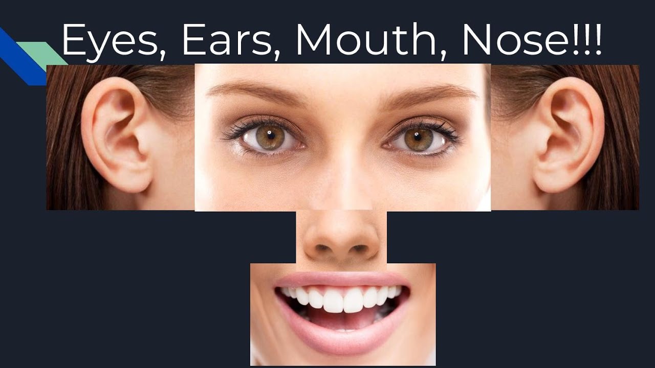Eyes And Ears And Mouth And Nose YouTube eyes-and-ears-and-mouth-and-nose-youtube