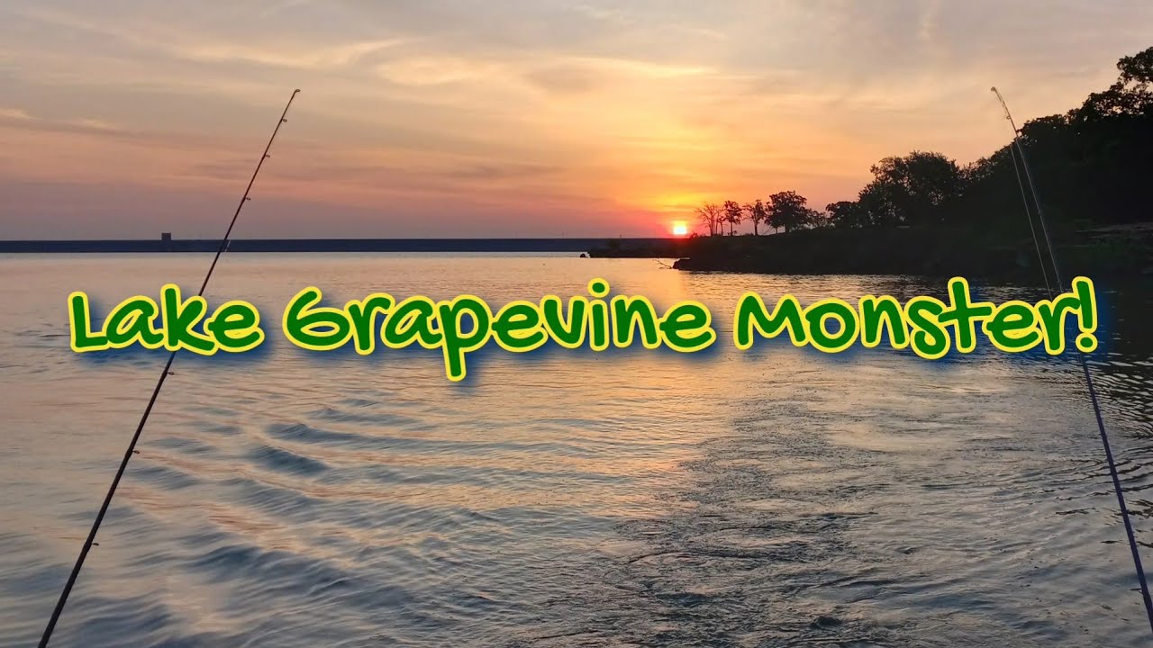 White Bass Fishing Report - Lake Grapevine - YouTube