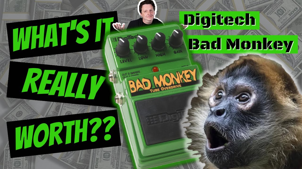 Digitech Bad Monkey Overdrive x JHS Pedals - What's It Really Worth ...