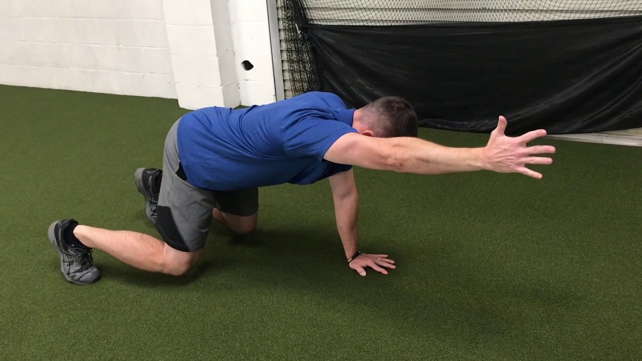 Bear Craw Series Full Torque Fitness - YouTube
