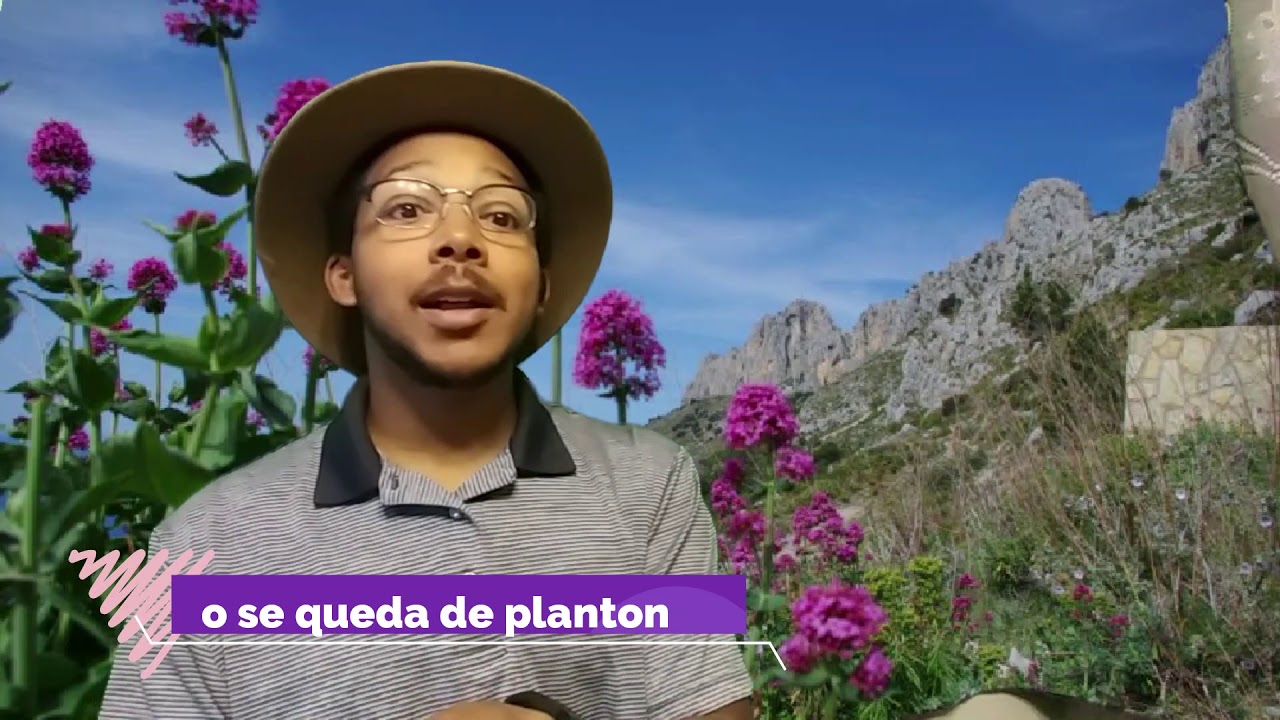 5 18 20 El Floron (music) - YouTube