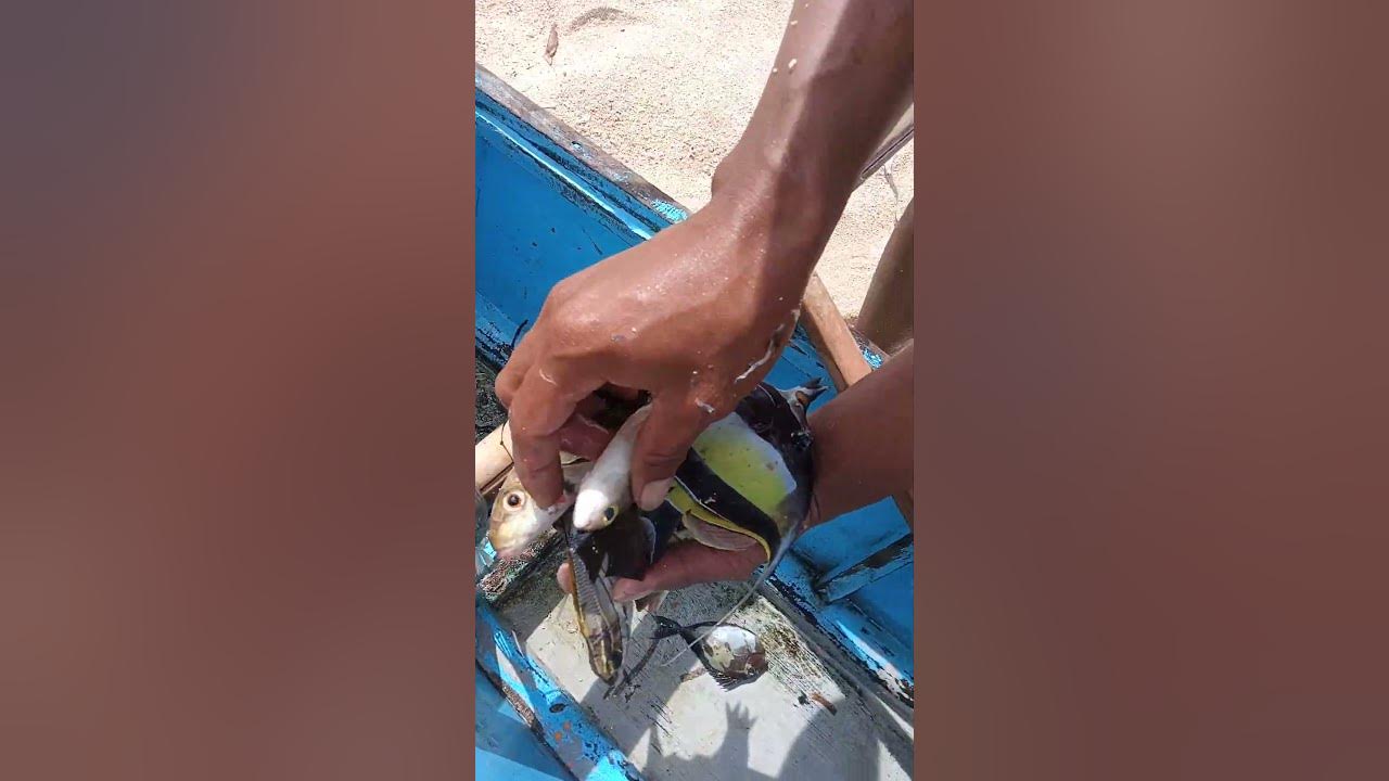 Kunti lang kuha namin mga ka Chuy pero okey lang magpapasalamat parin tayo sa Panginoon ☺️🙏 ...