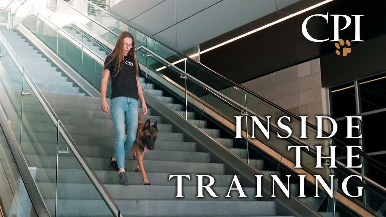 Inside The Training: The Heel - YouTube