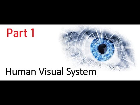 Human Visual System part1 - YouTube