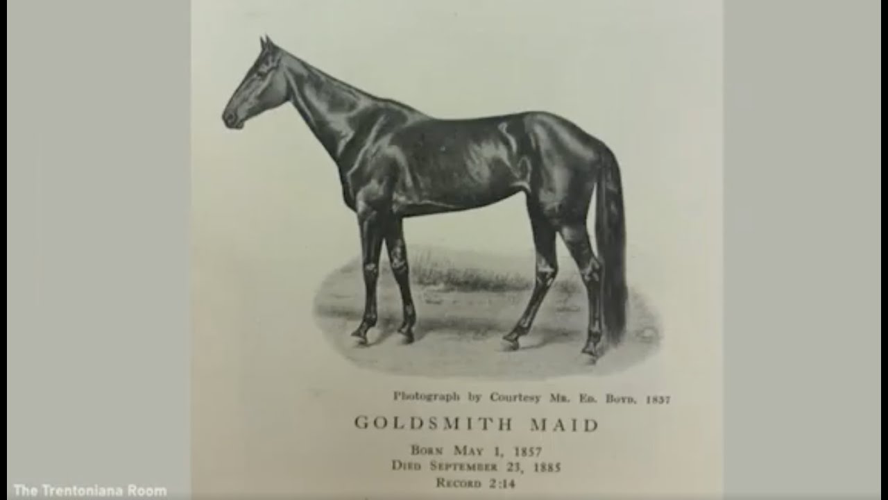Goldsmith Maid: The Queen of Trotters - YouTube