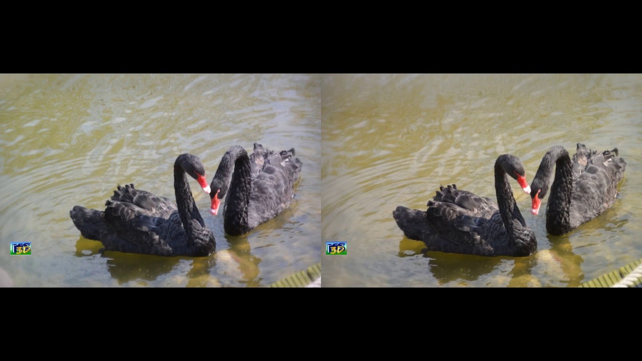 MS3D Top 15 3D SBS VR photos (Side by Side) - YouTube