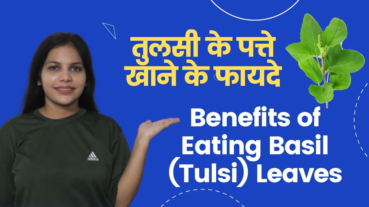 खाली पेट तुलसी के पत्ते खाने के फायदे | Benefits of Eating Tulsi Leaves ...