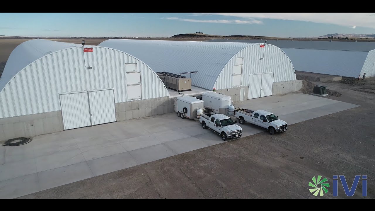 IVI - Post-harvest and storage solutions - YouTube