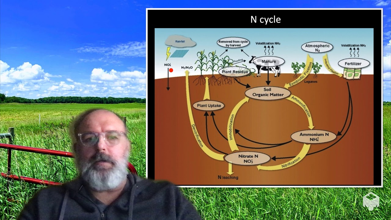 Nitrogen in ag - YouTube