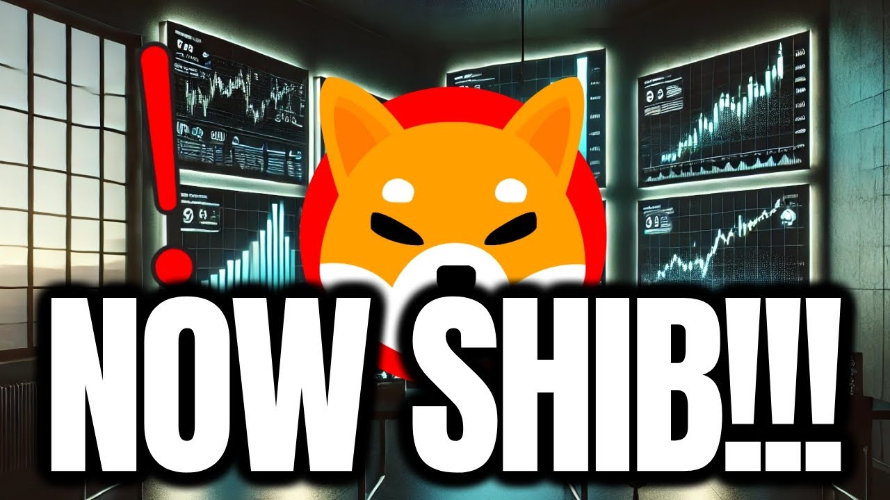 SHIBA INU (SHIB) IF YOU HOLD WATCH THIS NOW, HERE IS WHY !!!! | SHIBA ...