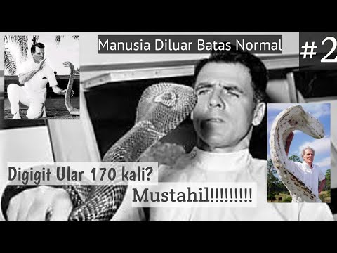 Manusia Dengan Kemampuan Diluar Batas Normal #2 | Inline